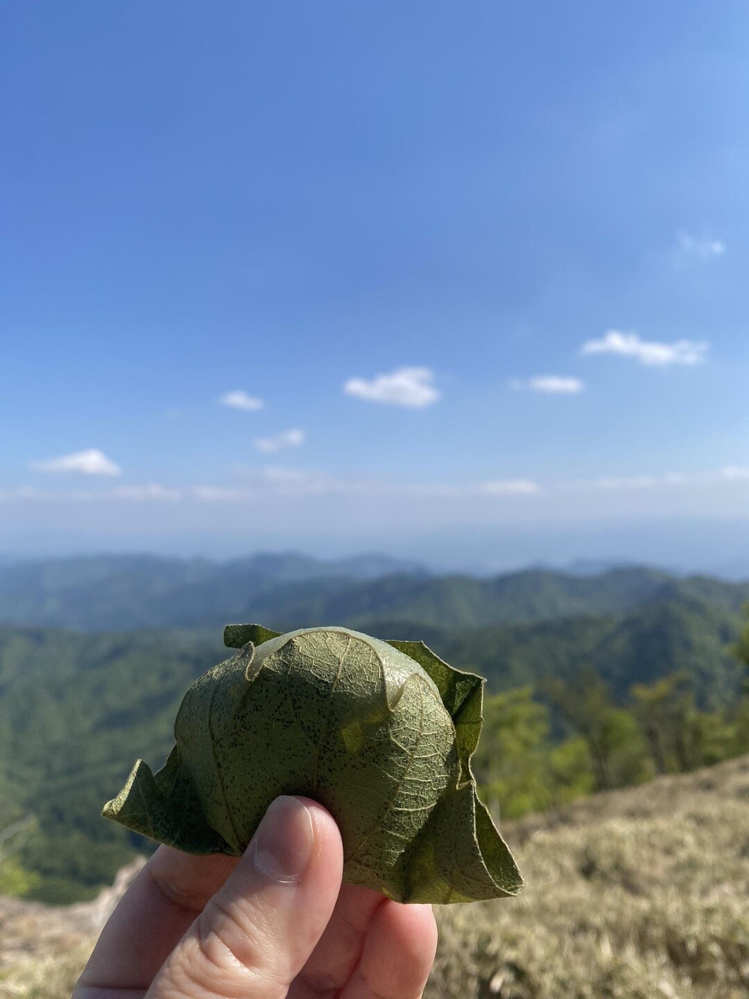英彦山(北岳) / PK🍑さんの英彦山の活動データ | YAMAP / ヤマップ