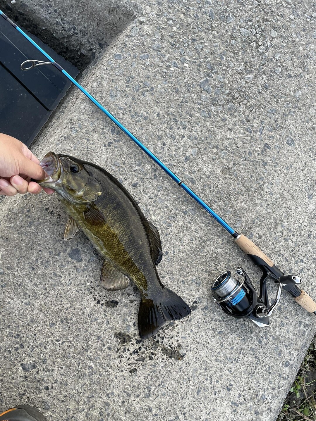 山行かなくて後悔してたけど釣果上がったか... / syo-taさんのモーメント | YAMAP / ヤマップ