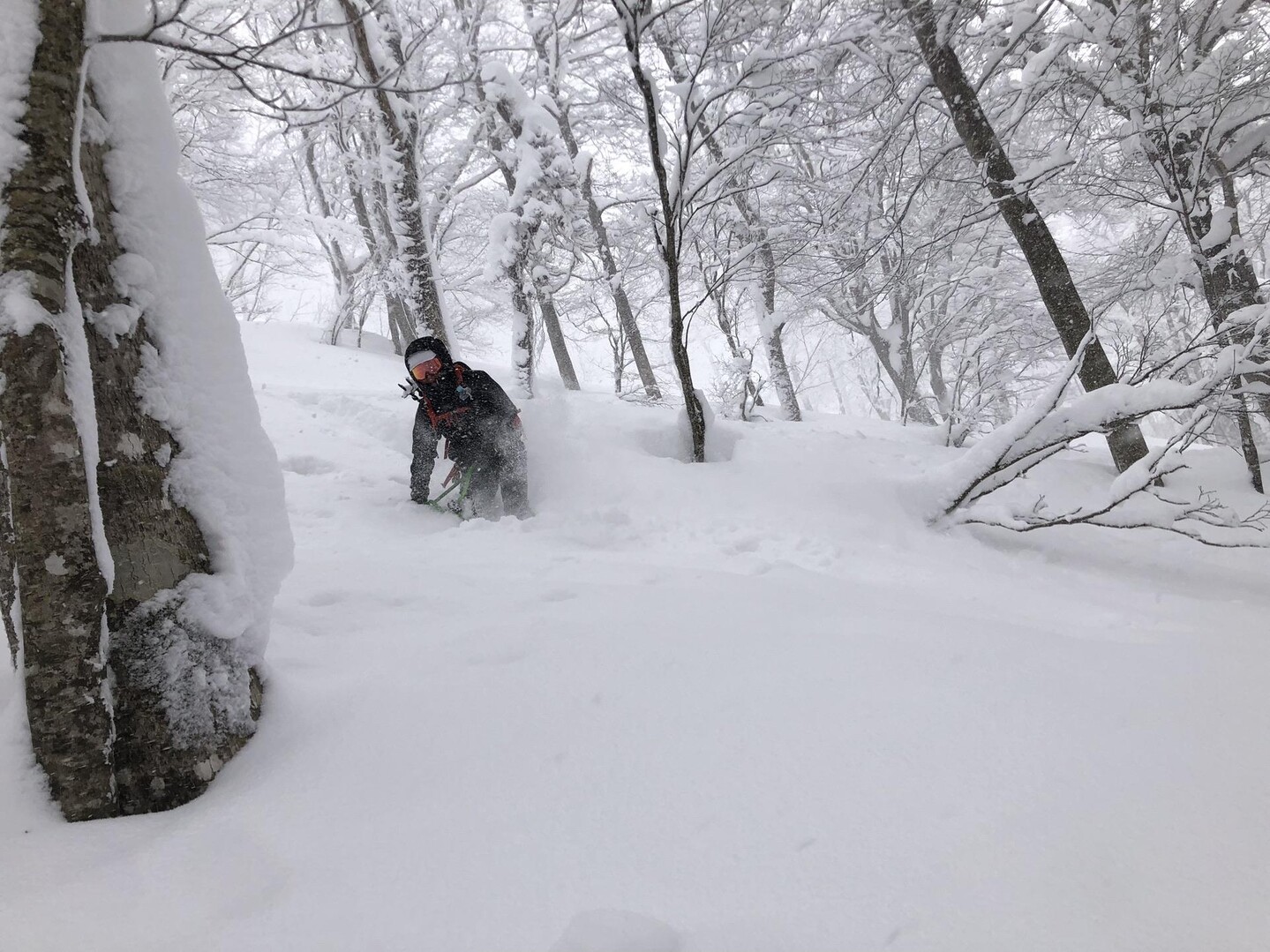 八甲田ロープウェー山頂公園駅（前嶽行けず） / snow@ystさんの八甲田山・高田大岳・雛岳の活動データ | YAMAP / ヤマップ