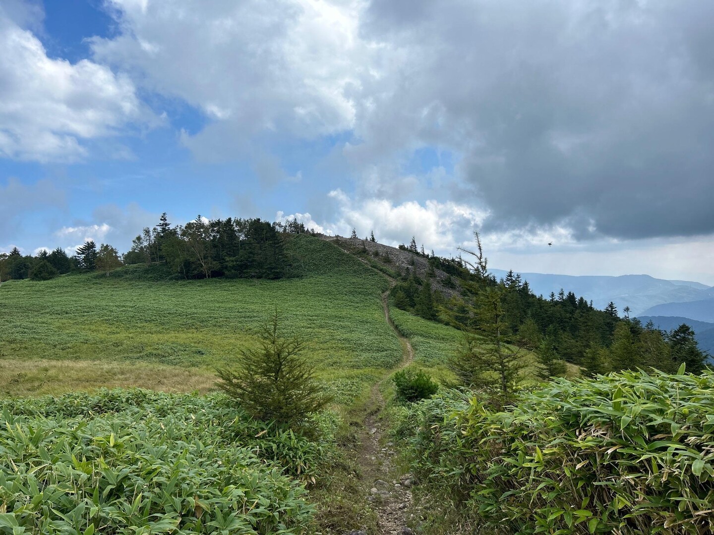 うろちょろ②物見石山 / あきTRさんの美ヶ原の活動データ | YAMAP / ヤマップ