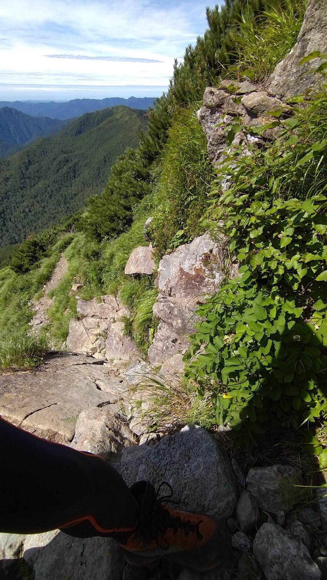 Mixさんの投稿したフィールドメモ | YAMAP / ヤマップ