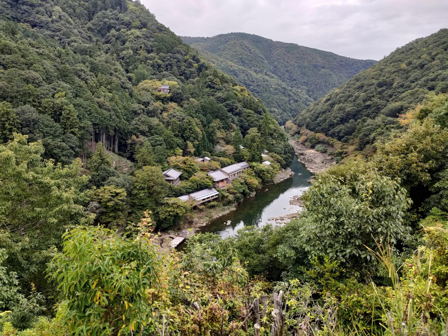 ウォーキング🍂🍄〜小倉山〜 / uosukiさんの京都一周トレイルの活動データ | YAMAP / ヤマップ