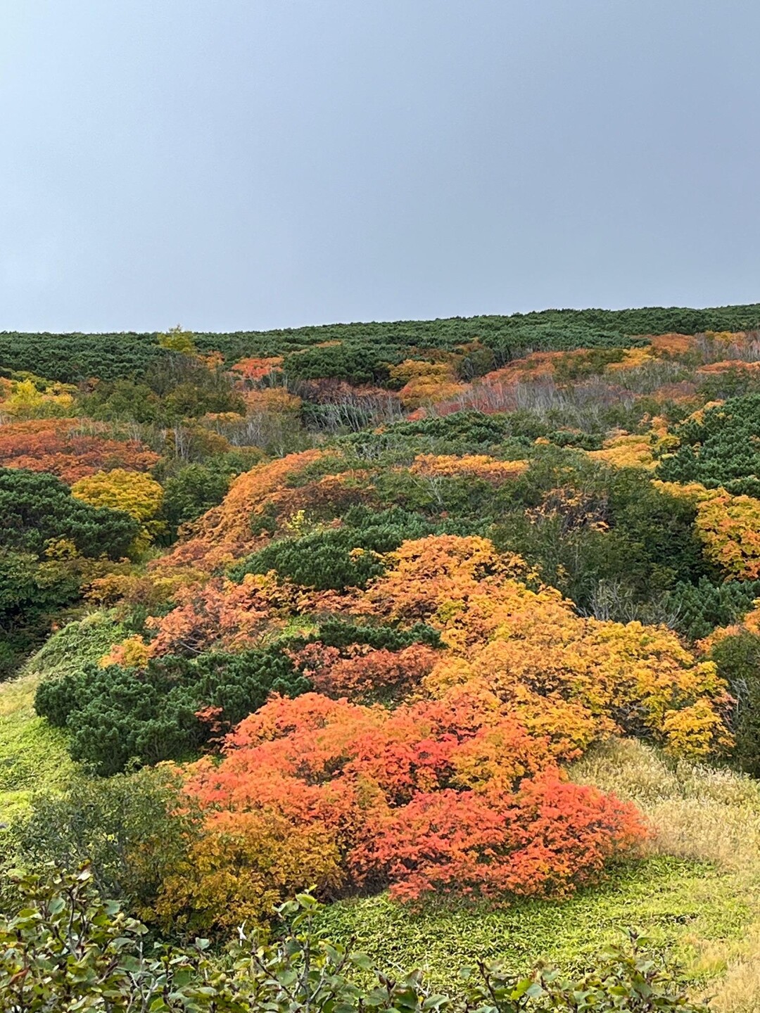 御嶽山（剣ヶ峰） / moko_sさんの御嶽山・継子岳・摩利支天山の活動日記 | YAMAP / ヤマップ