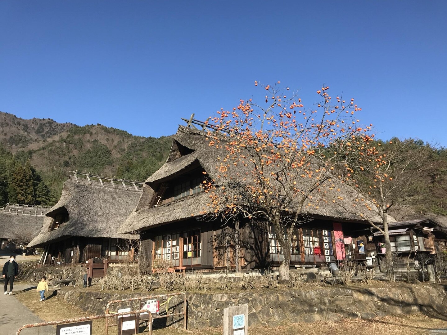 山梨、王岳山頂 (2022.12.1... / min8956さんのモーメント | YAMAP / ヤマップ