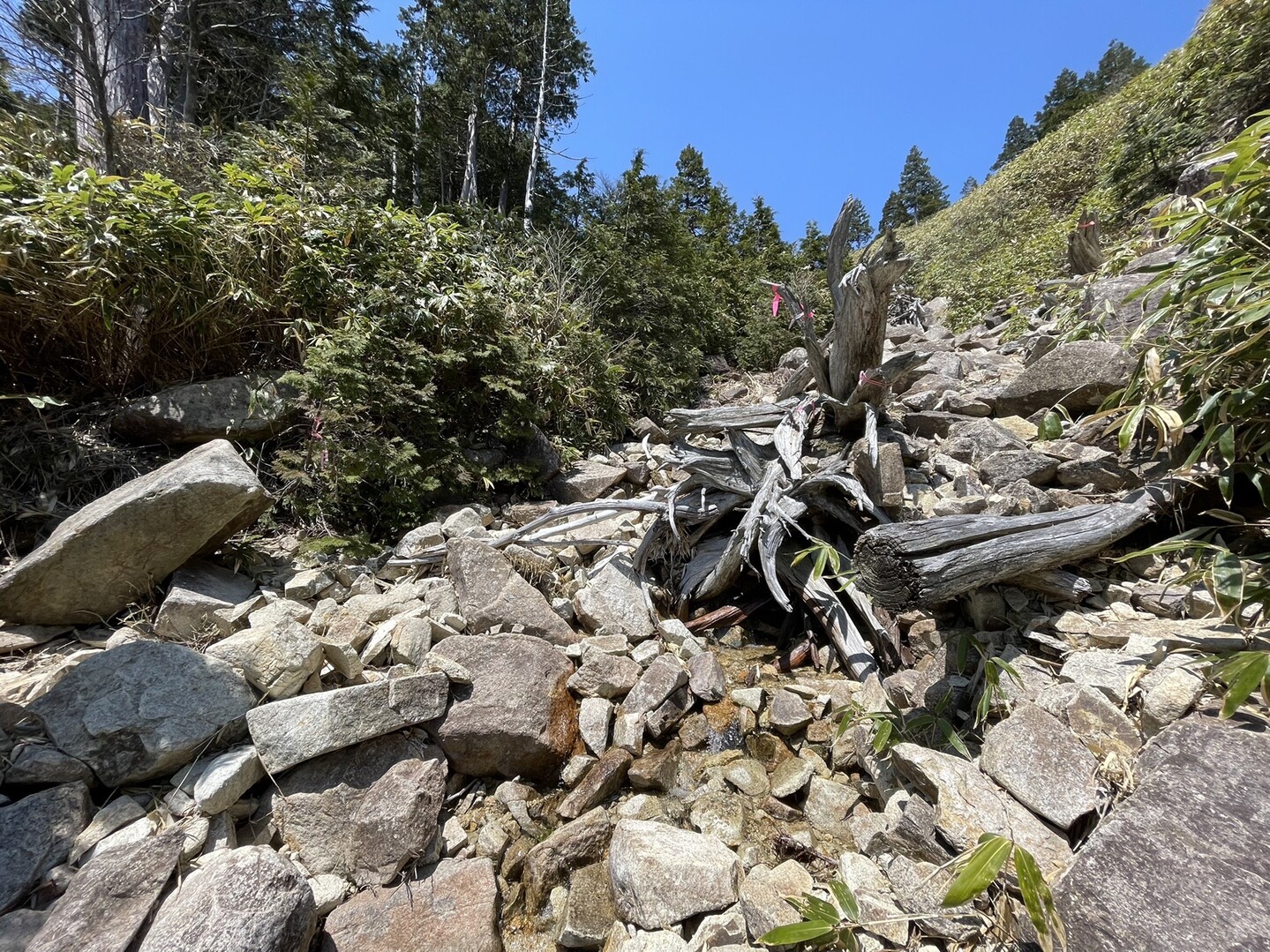 osamさんの投稿したフィールドメモ | YAMAP / ヤマップ