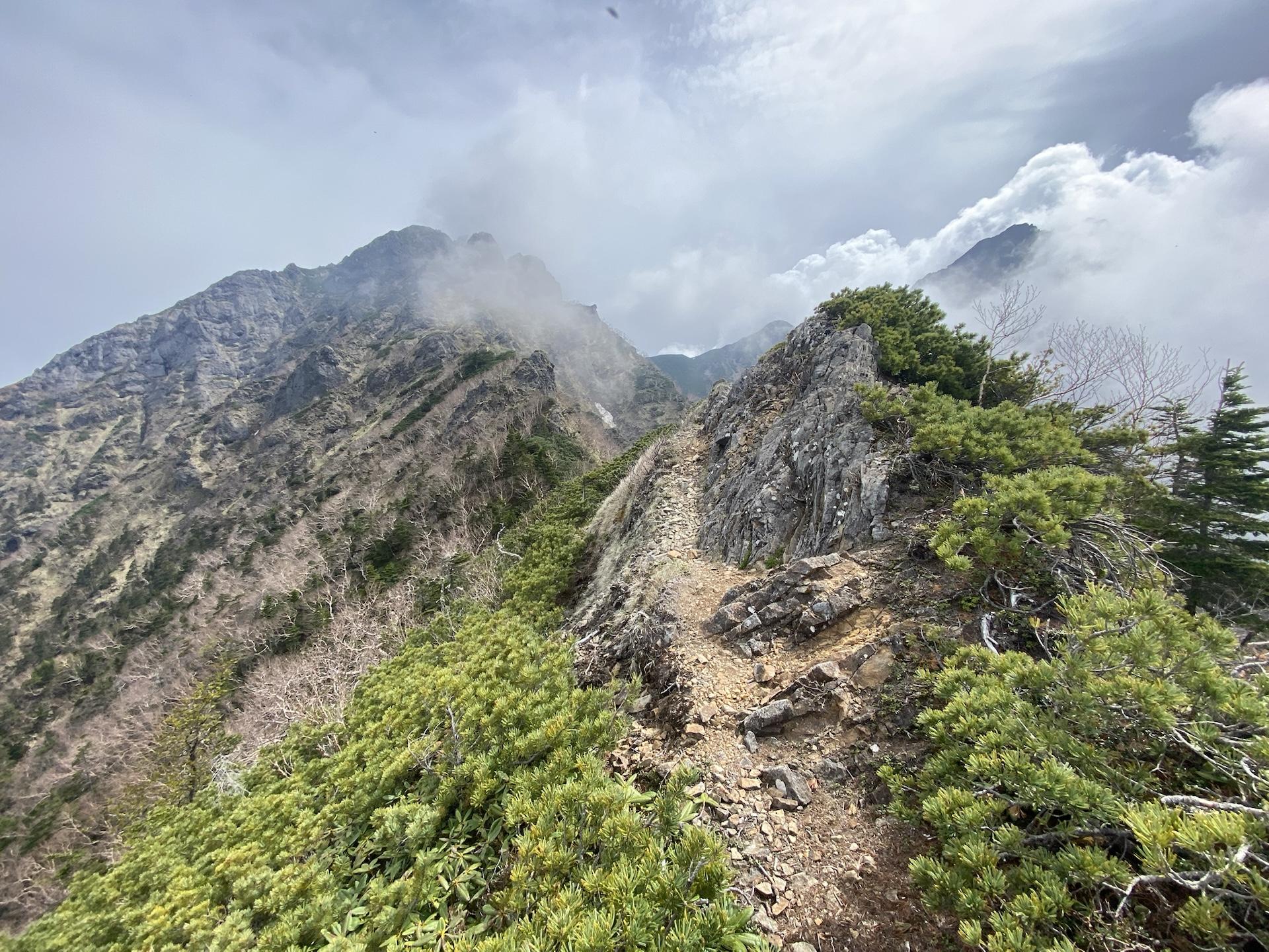 阿弥陀岳 (South ↗︎ RIDGE) / The Bimmer さんの八ヶ岳（赤岳・硫黄岳・天狗岳）の活動データ | YAMAP / ヤマップ
