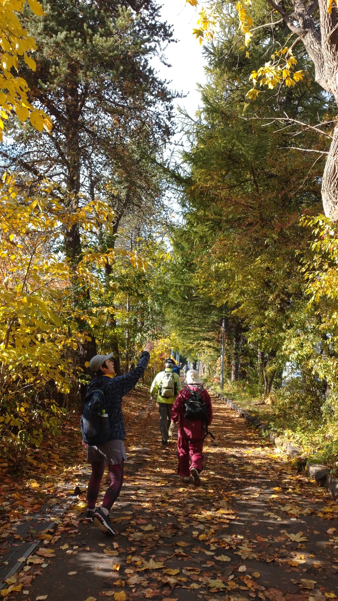 ウォーキングイベント30km 大先輩達に... / ぽちくまさんのモーメント | YAMAP / ヤマップ