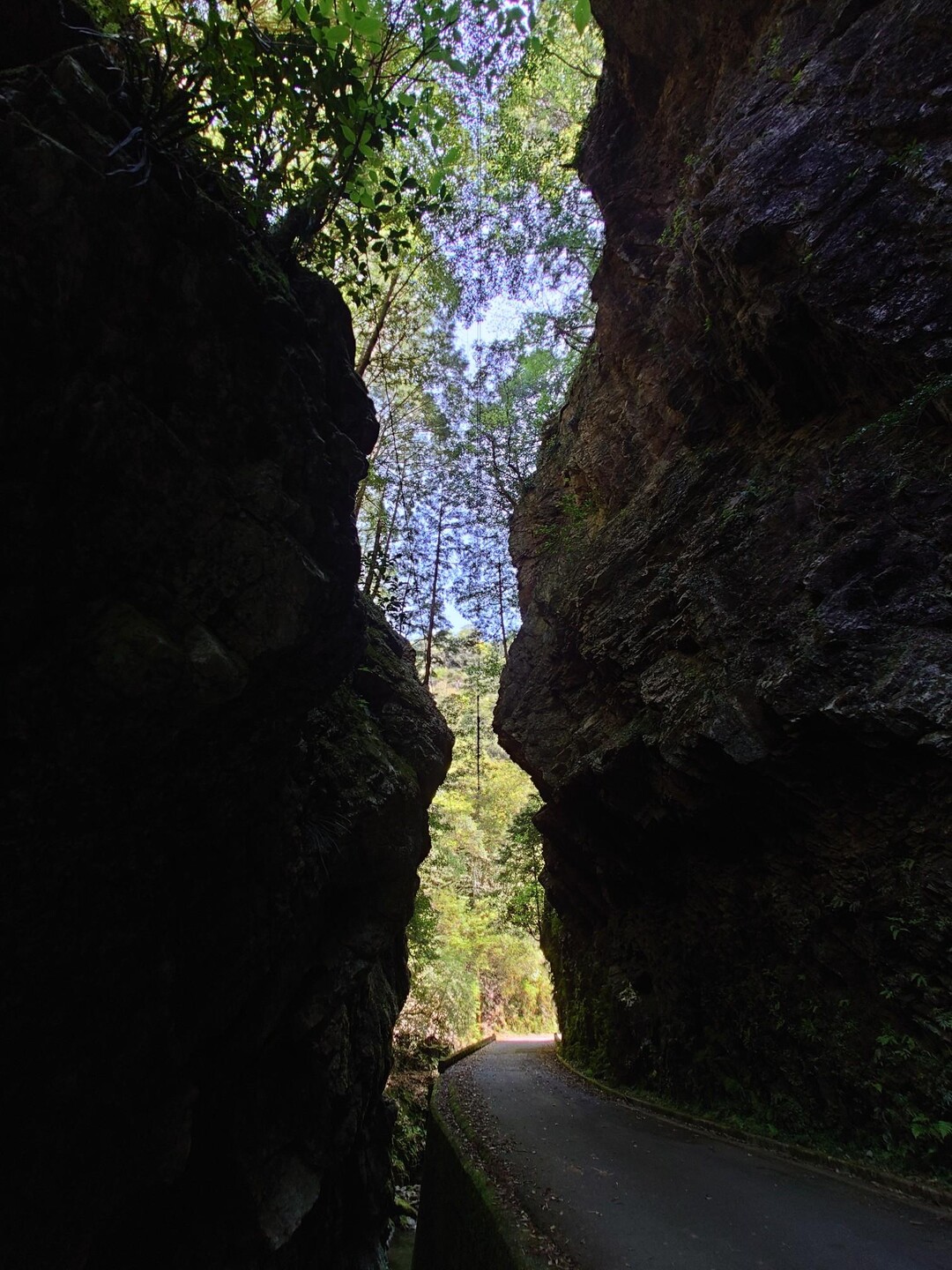 そらふさがり / eunos.kkさんの納古山の活動データ | YAMAP / ヤマップ