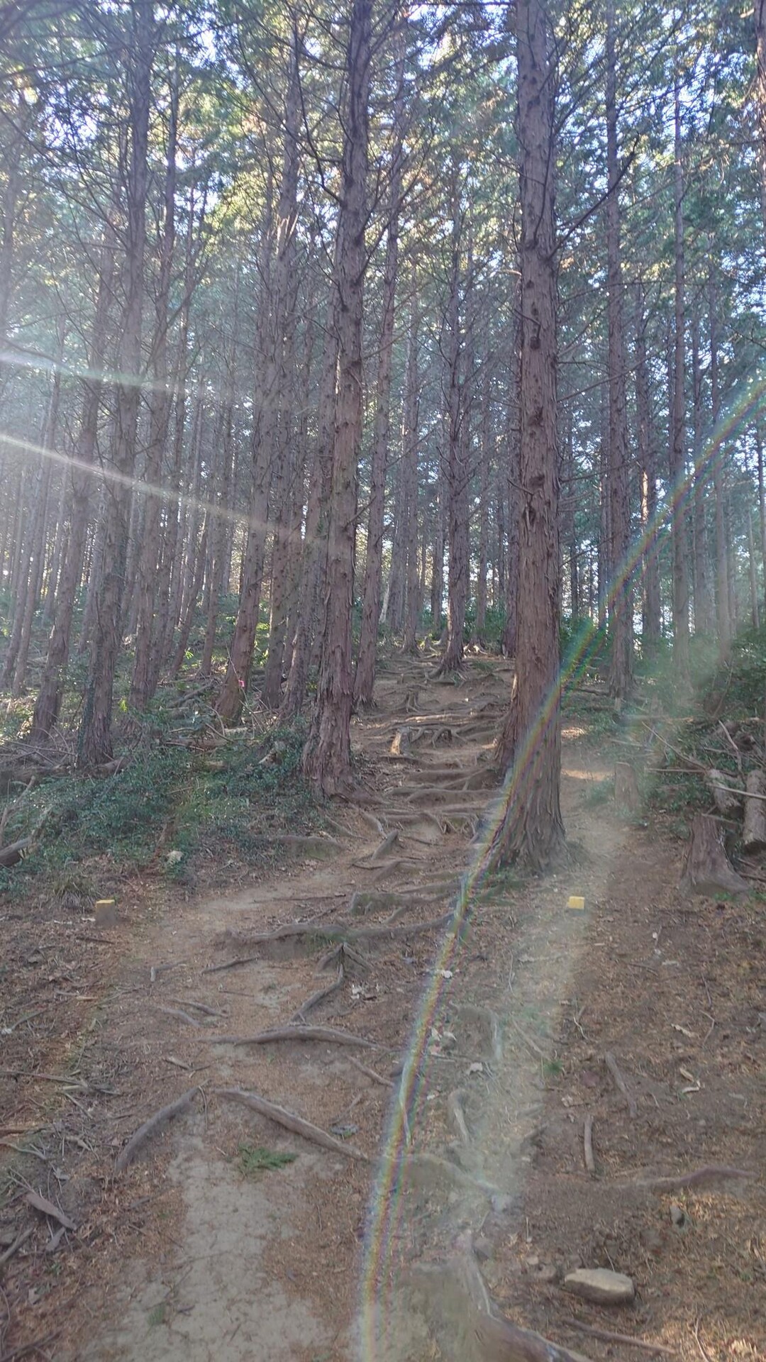 宝篋山 / su-taku⛰さんの宝篋山・富岡山の活動データ | YAMAP / ヤマップ