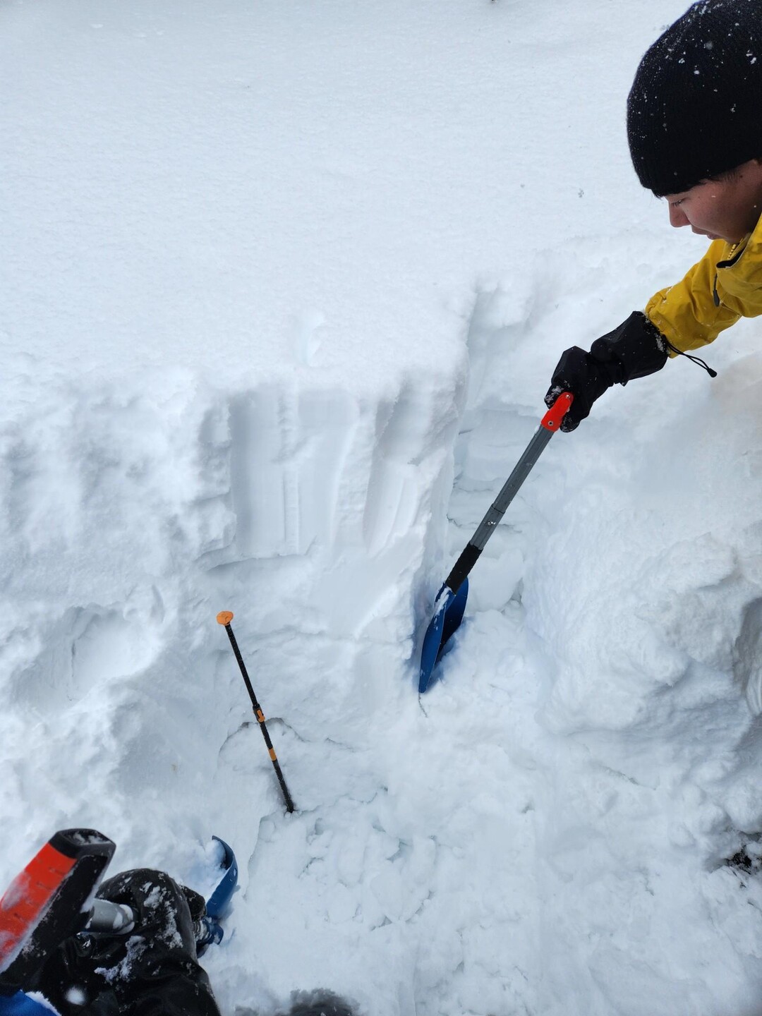 白馬岳登頂を目指し栂池へ行ったものの雪崩... / Tantalさんのモーメント | YAMAP / ヤマップ