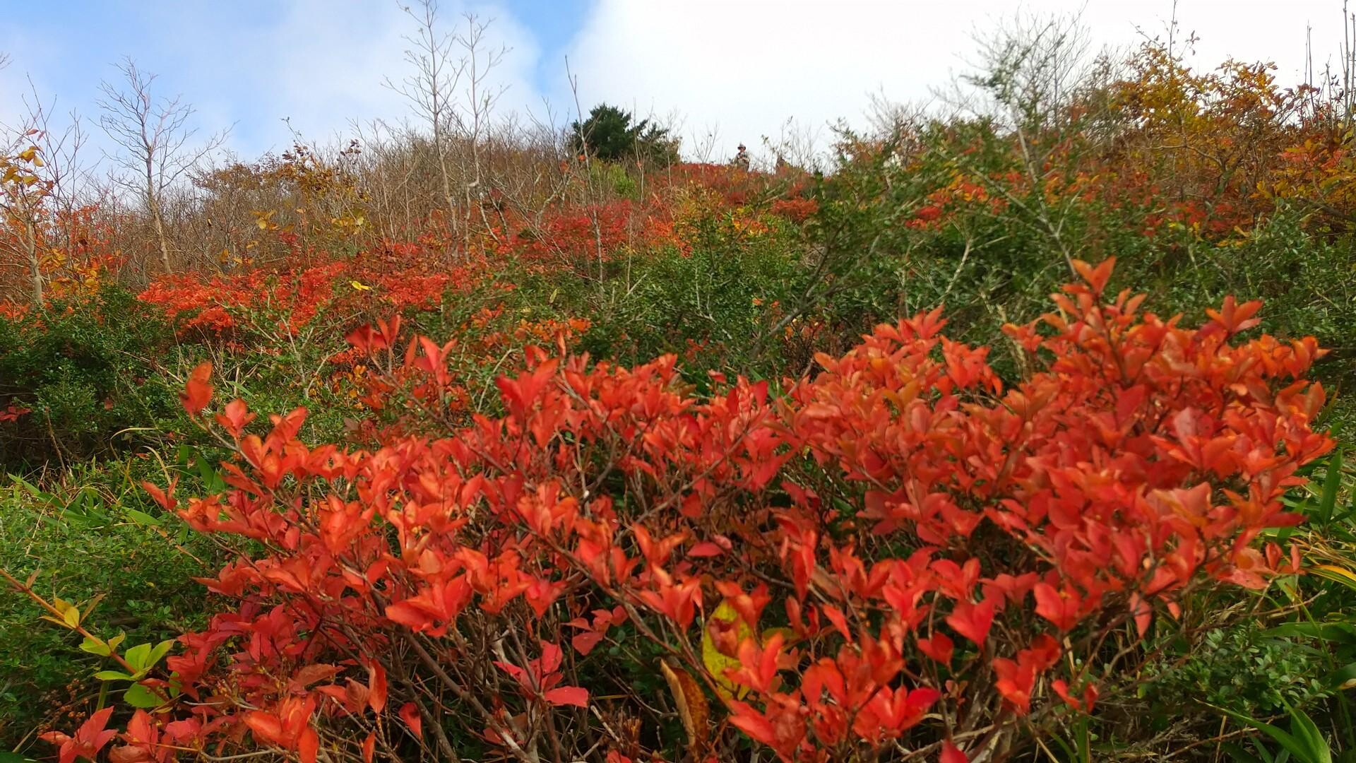 烏帽子山・比婆山・池ノ段・立烏帽子山 / sumiさんの比婆山・立烏帽子山・吾妻山の活動データ | YAMAP / ヤマップ