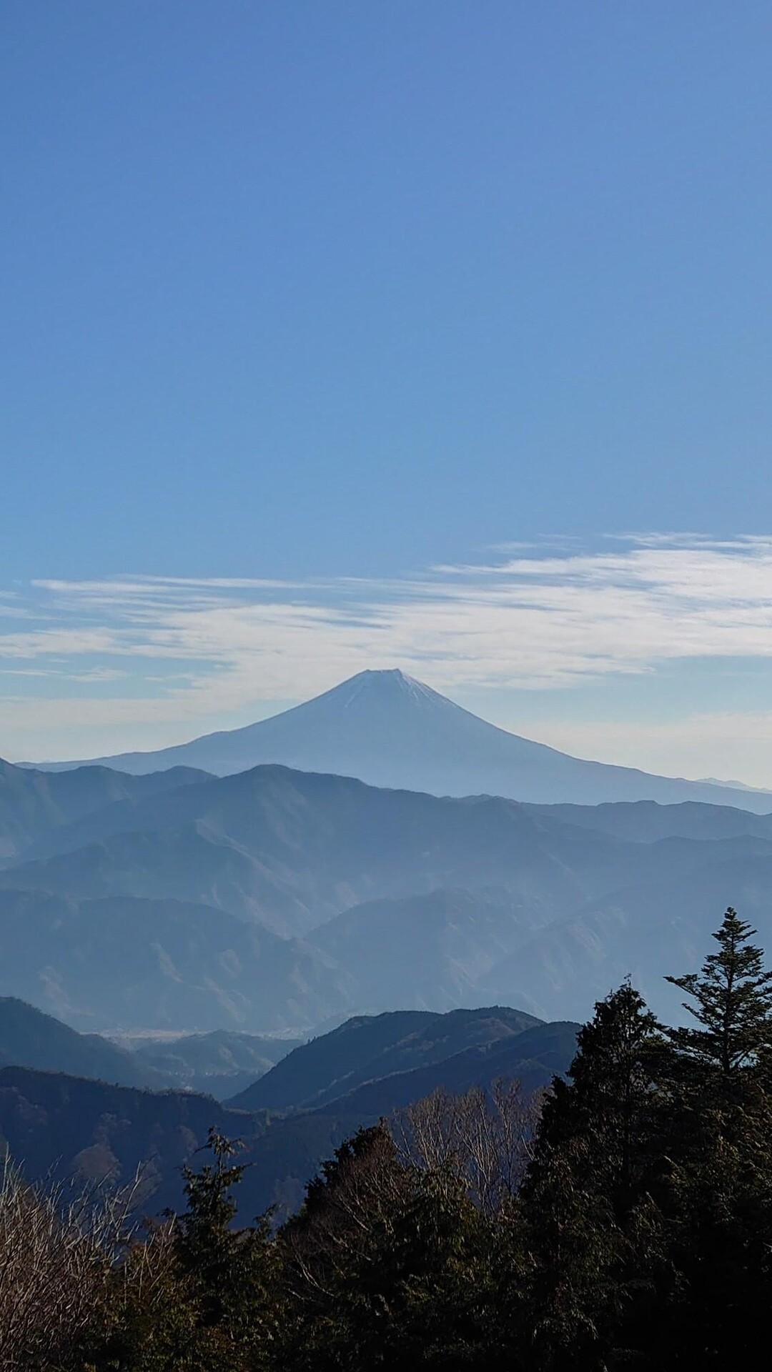 七面山（いい天気） / zzzさんの七面山・身延山の活動データ | YAMAP / ヤマップ