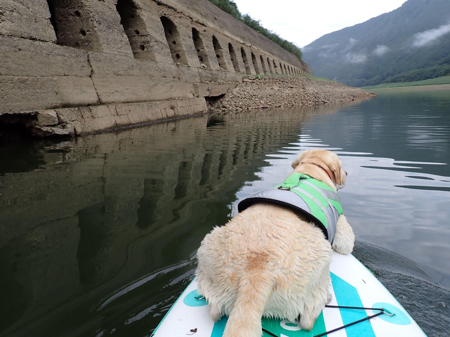 みちのくふたり旅⑧錦秋湖 旧国鉄廃路線SUP🚂 / おちもりさんの羽山・羽黒山・月山の活動データ | YAMAP / ヤマップ
