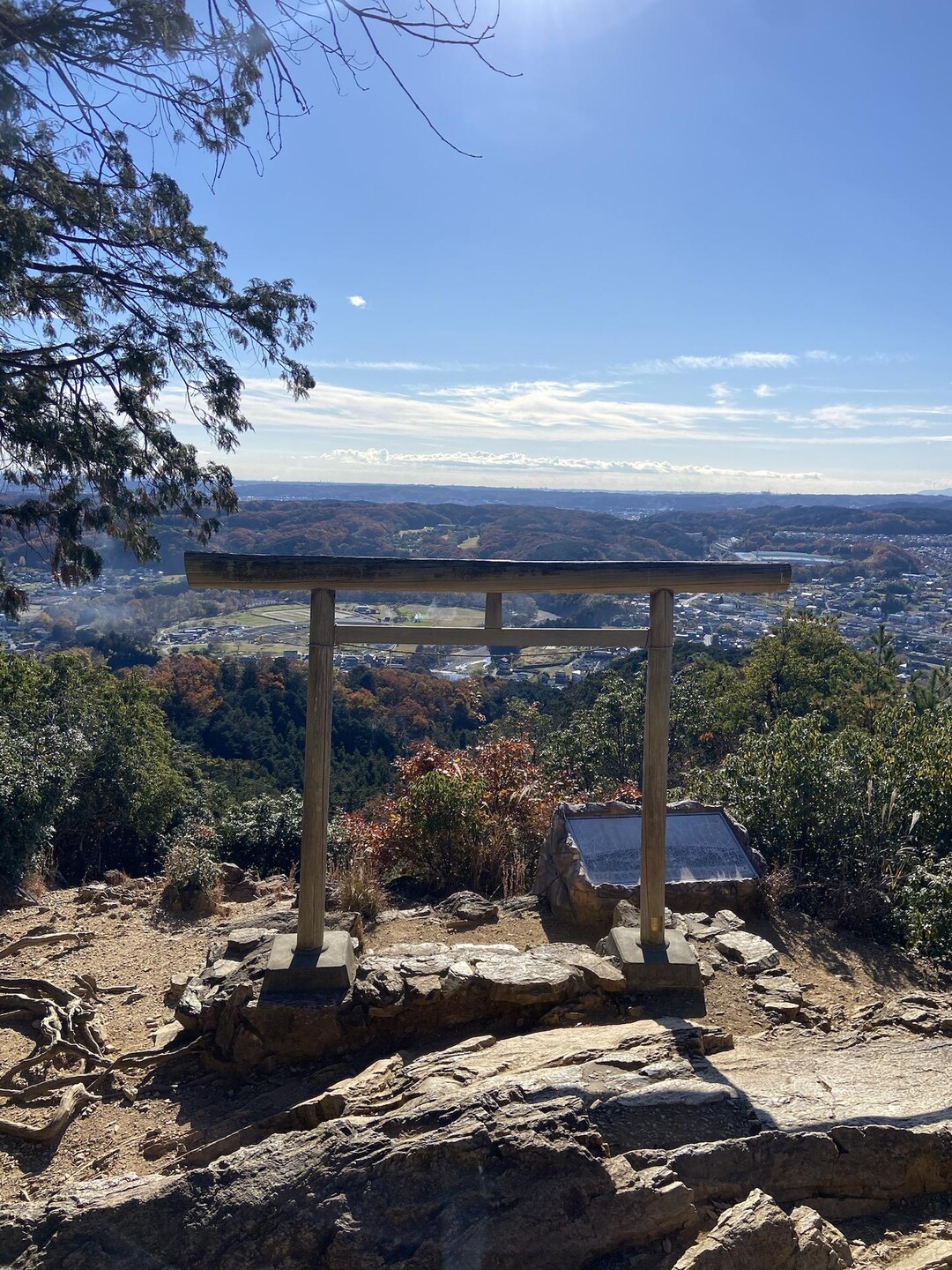 東ムカイ山・小瀬名富士・物見山・高指山・日和田山 / yukariさんの日和田山・物見山の活動日記 | YAMAP / ヤマップ