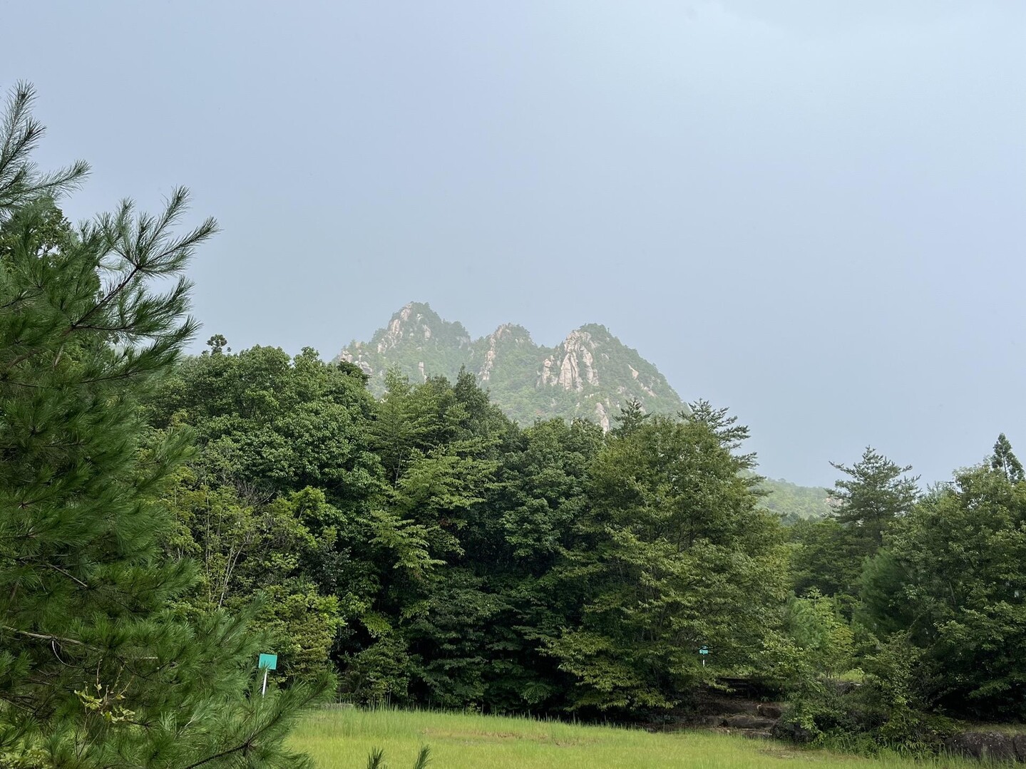 三倉岳・瓦小屋山-2024-08-25 / TOP ROPE さんの三倉岳・瓦小屋山の活動データ | YAMAP / ヤマップ