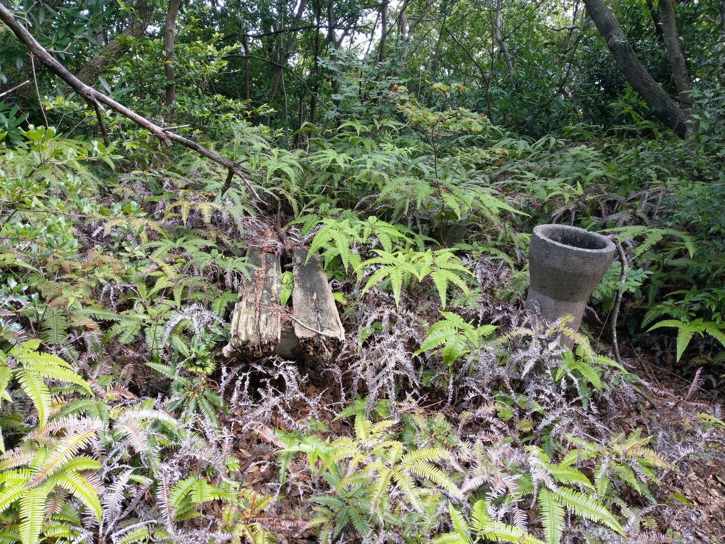 k54さんの投稿したフィールドメモ | YAMAP / ヤマップ