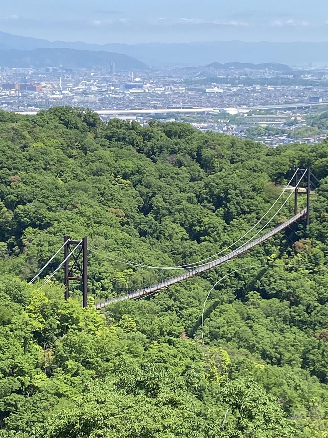 大和なでしこハイキングクラブ決起 ️ / ばっじいさんの交野山・国見山の活動データ | YAMAP / ヤマップ