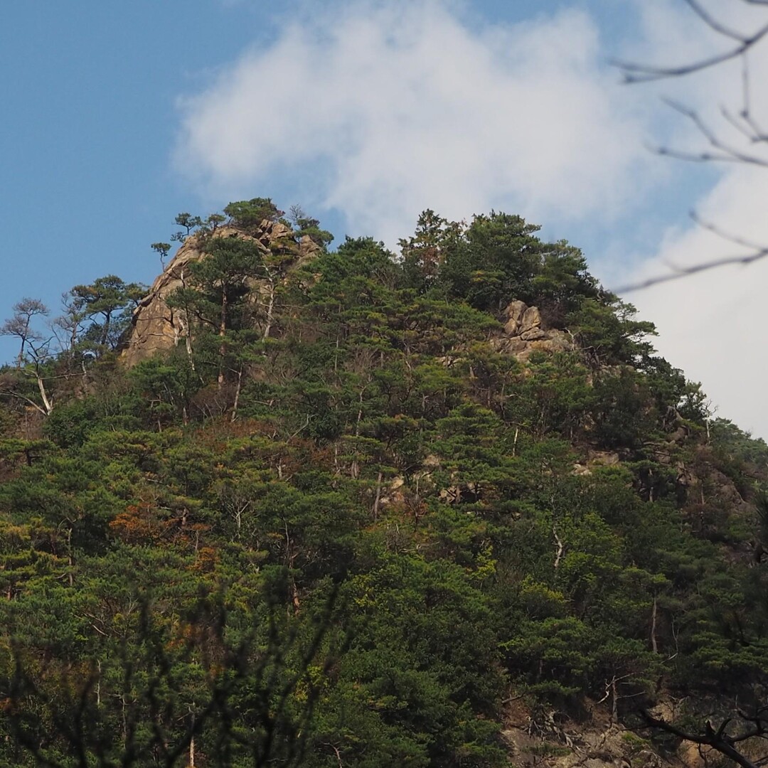 讃岐 矢筈山女体山 岩山巡り / ta.hayaさんの矢筈山・女体山の活動データ | YAMAP / ヤマップ