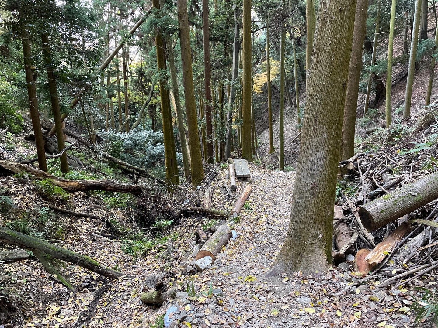 E.Jさんの投稿したフィールドメモ | YAMAP / ヤマップ