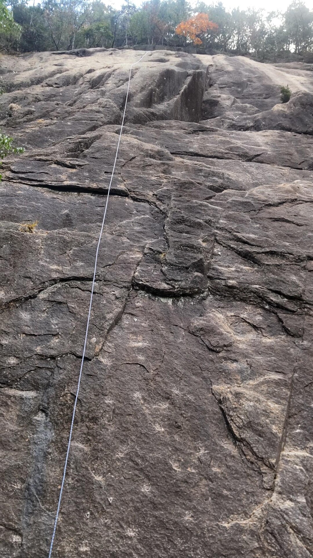 9月以来の午後から南山へ、暑くて長く遊べ... / mituo-mさんのモーメント | YAMAP / ヤマップ