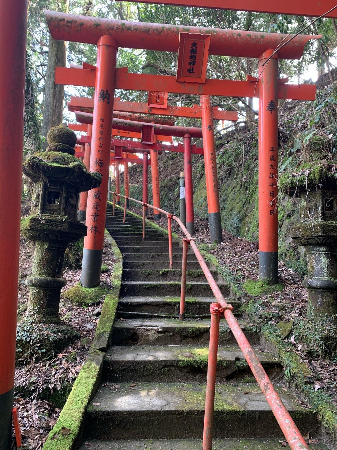 大根地山 / RUMIさんの大根地山の活動データ | YAMAP / ヤマップ
