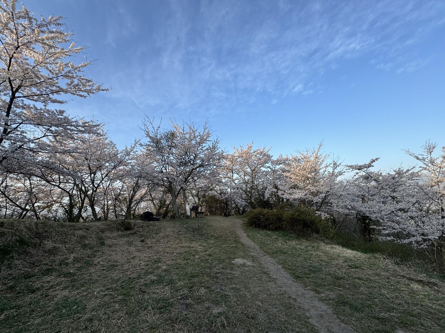 光城山 / Markさんの光城山・長峰山の活動データ | YAMAP / ヤマップ