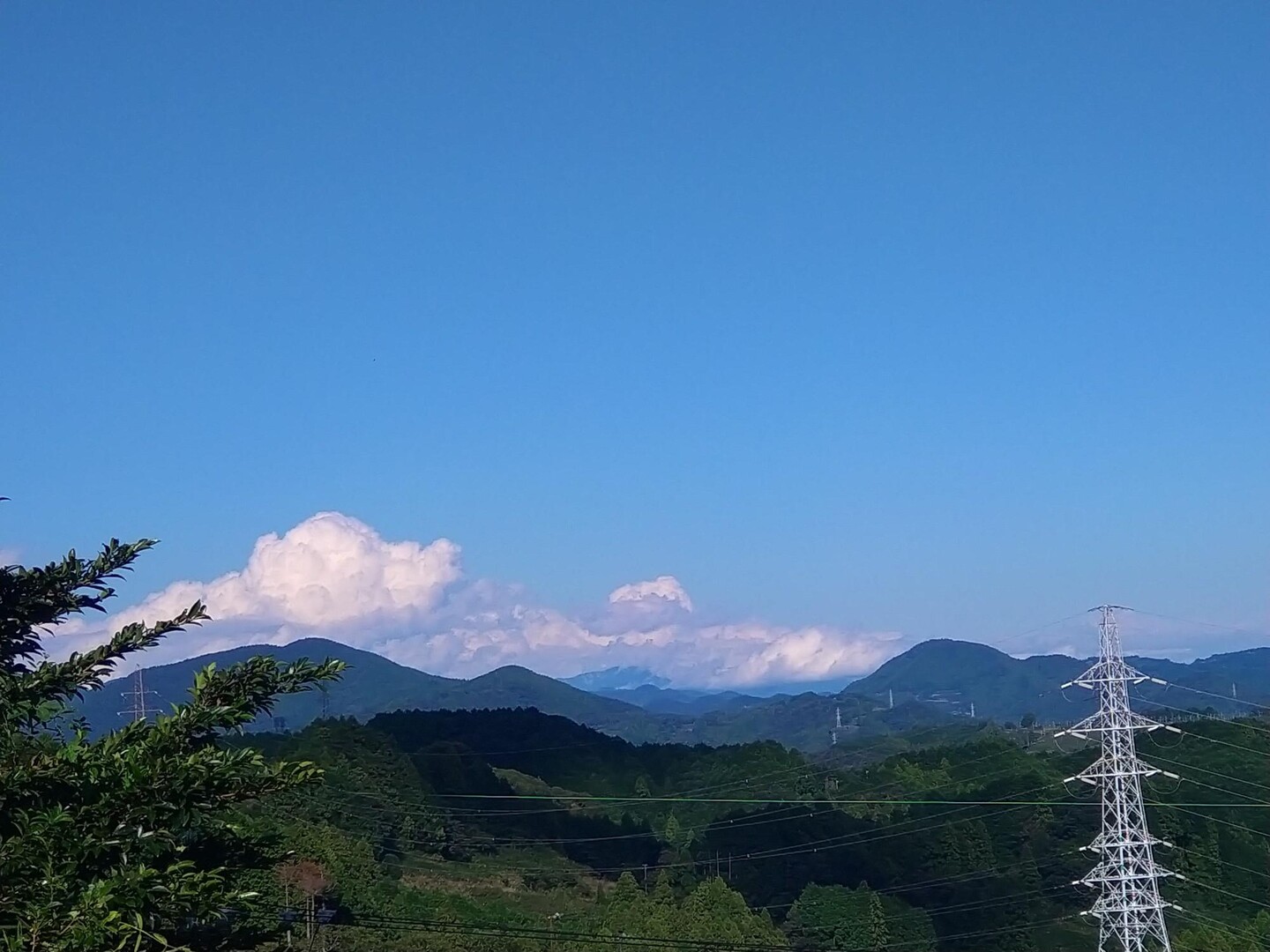 粟ヶ岳 / MAXさんの粟ヶ岳の活動データ | YAMAP / ヤマップ