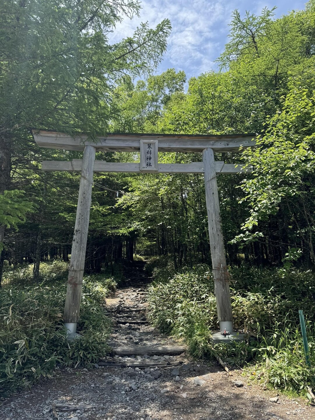 蓼科山 / su_maさんの蓼科山・横岳・縞枯山の活動データ | YAMAP / ヤマップ