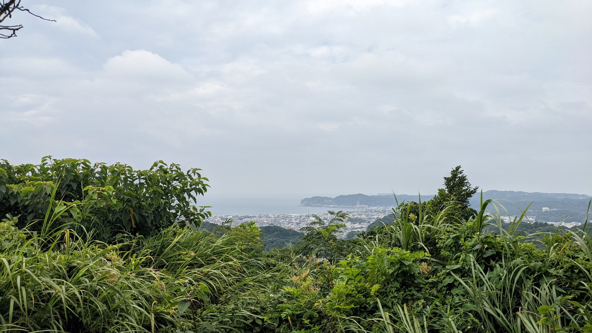 衣張山・天園ハイキングコース（明王院口〜鎌倉宮） / nakameguさんの鎌倉アルプス（大平山・天台山）の活動データ | YAMAP / ヤマップ