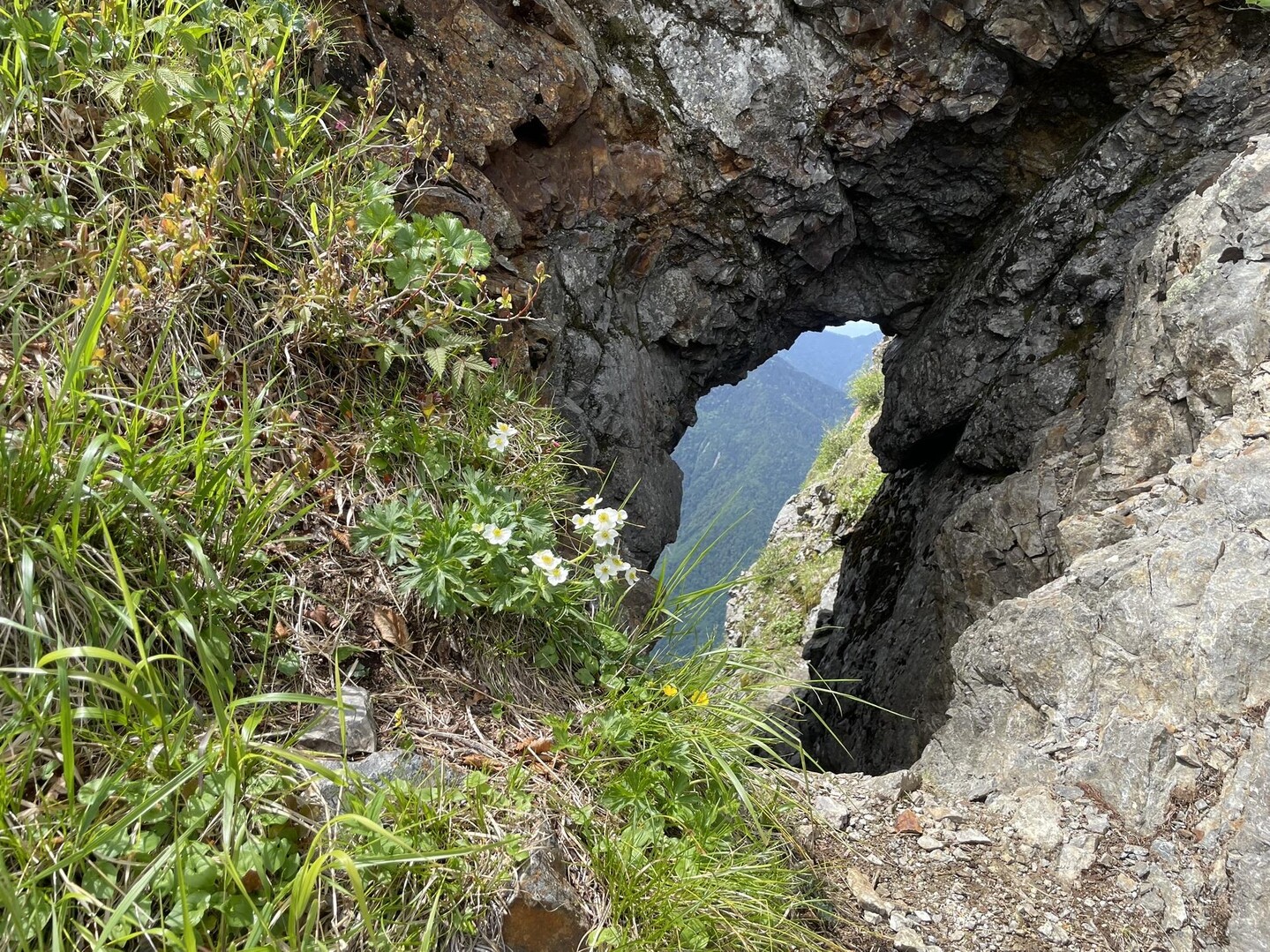 ソロ→パーティ 鋸岳🦌鹿窓 / nukiさんの甲斐駒ヶ岳・日向山の活動データ | YAMAP / ヤマップ