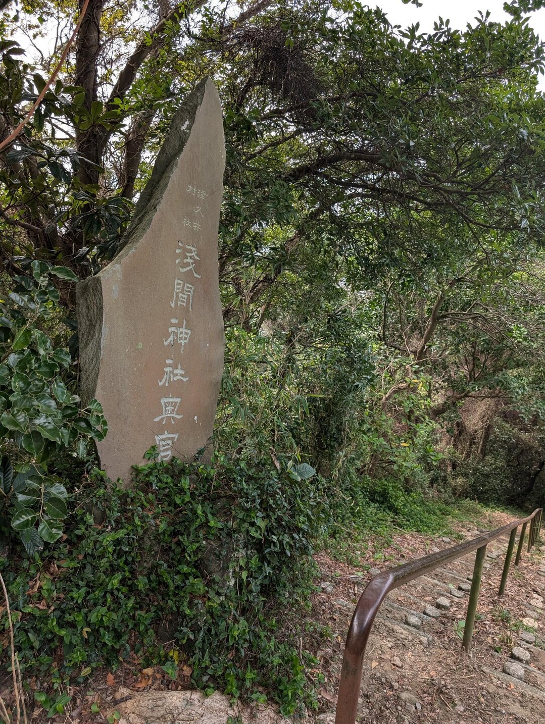 富士やま（三浦富士） / minaさんの大楠山・武山・三浦富士の活動データ | YAMAP / ヤマップ