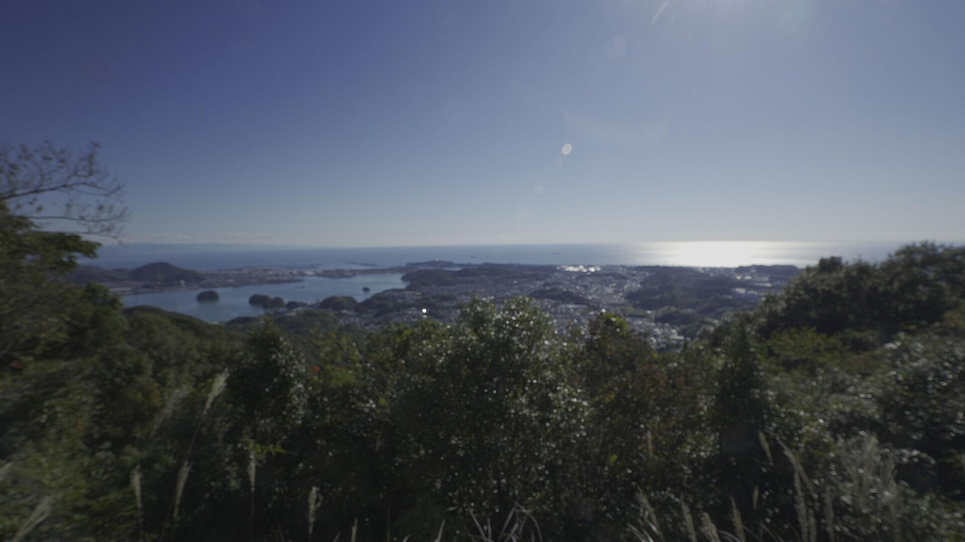 鷲尾山 / FRVさんの鷲尾山・皿ヶ峰・宇津野山の活動日記 | YAMAP / ヤマップ