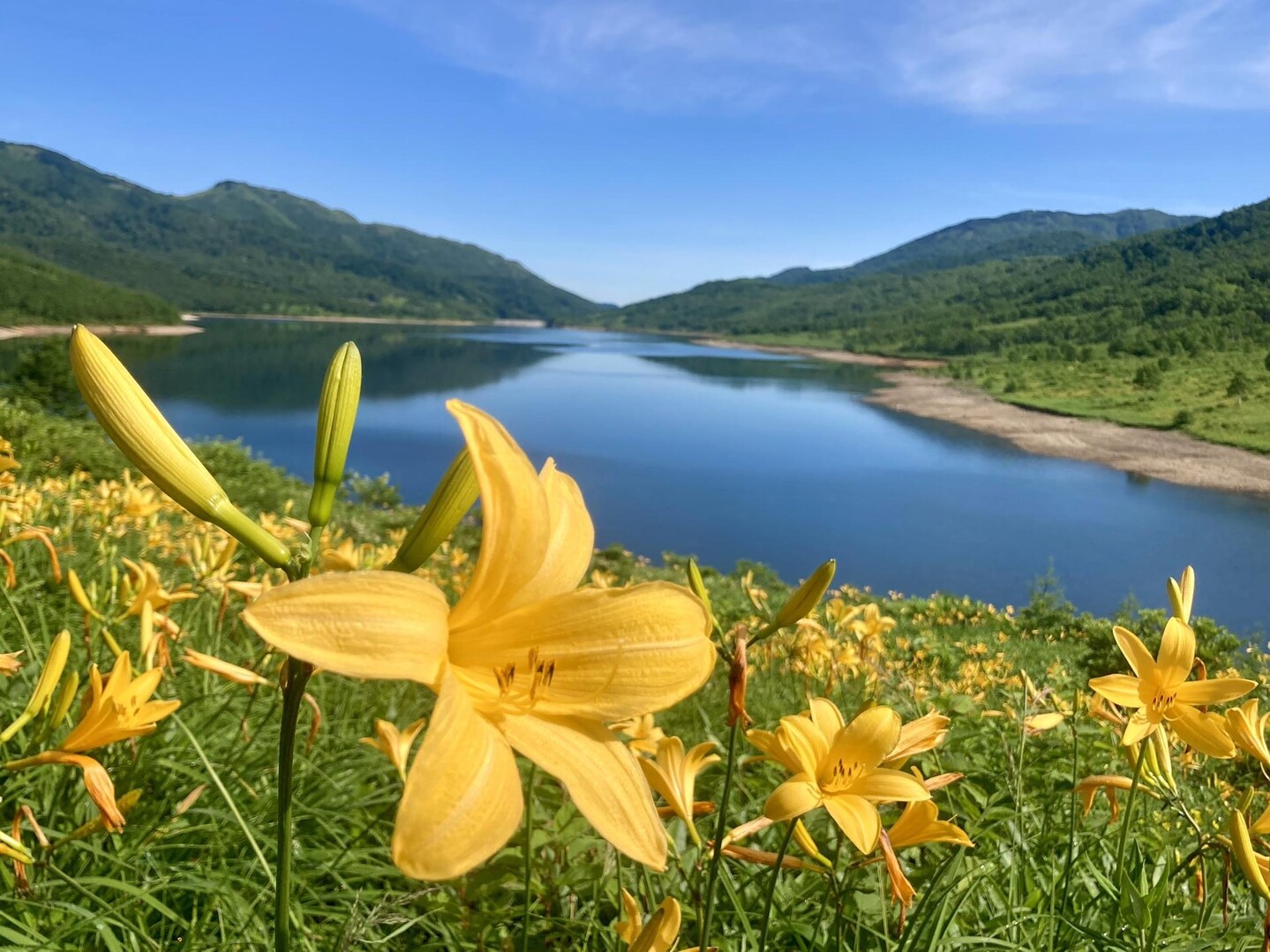 おはようございます。 本日、朝7時の野反... / Mt.Mikiさんのモーメント | YAMAP / ヤマップ