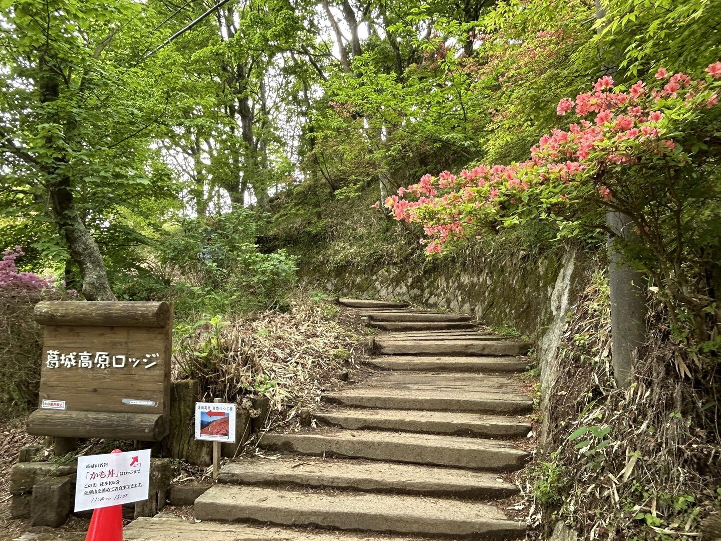 2回目の【大和葛城山】🌺🦆 / akoさんの葛城古道の活動データ | YAMAP / ヤマップ