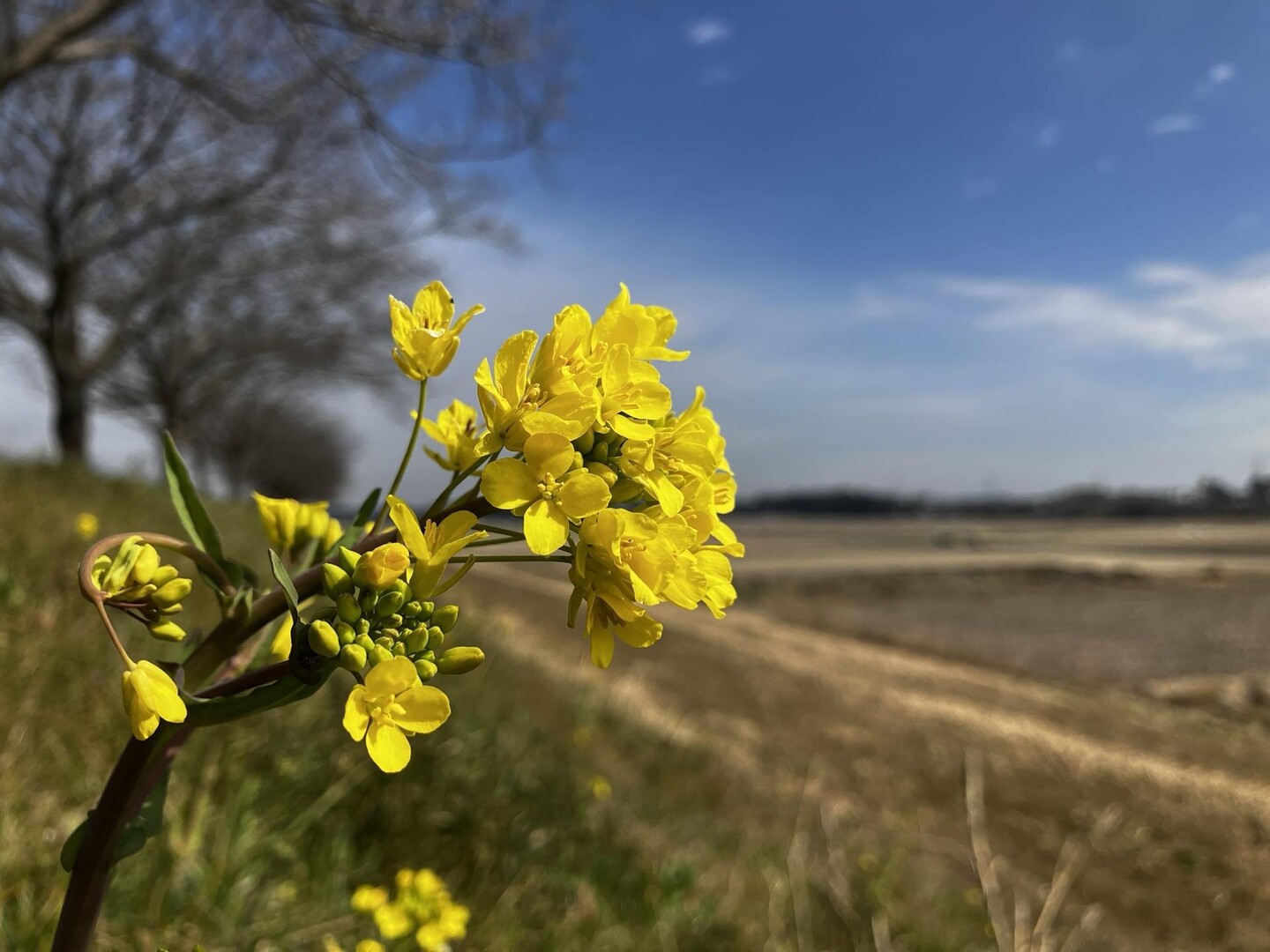 久し振りにウォーキング！ 下界はもうすぐ... / 727Kさんのモーメント | YAMAP / ヤマップ