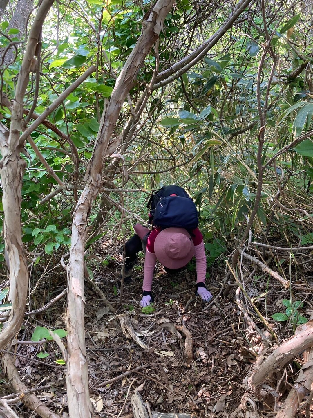 温泉🥰 / のりこさんの塩谷丸山・於古発山の活動データ | YAMAP / ヤマップ