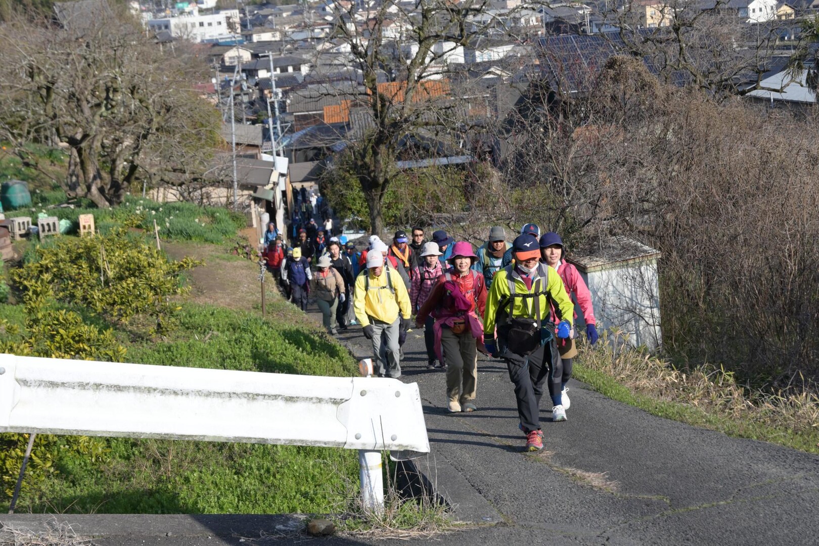 第37回 瀬戸内倉敷ツーデーマーチ初日 40km：瀬戸大橋・鷲羽山コース / てっちゃんさんの倉敷市 水島・児島エリアの活動データ | YAMAP / ヤマップ