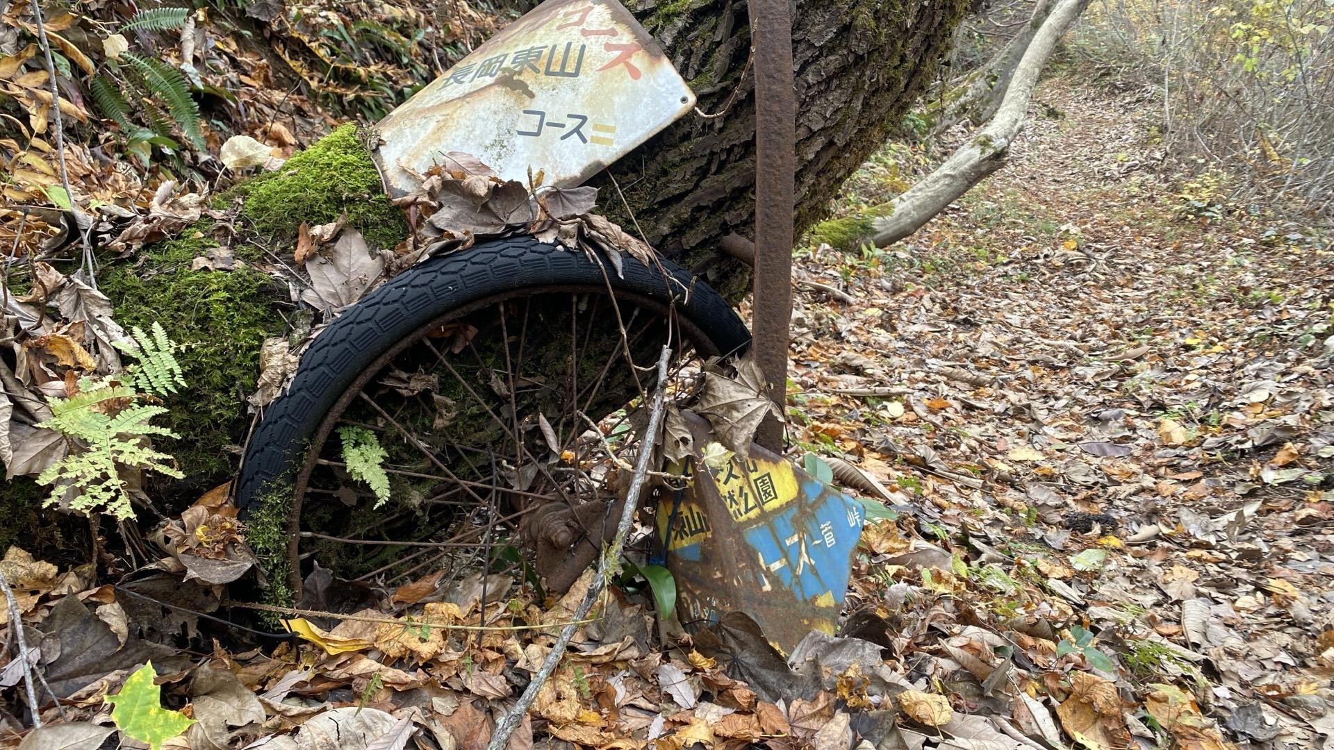 三ノ峠山・枡形山 / korn4317さんの鋸山・三ノ峠山・八方台の活動データ | YAMAP / ヤマップ