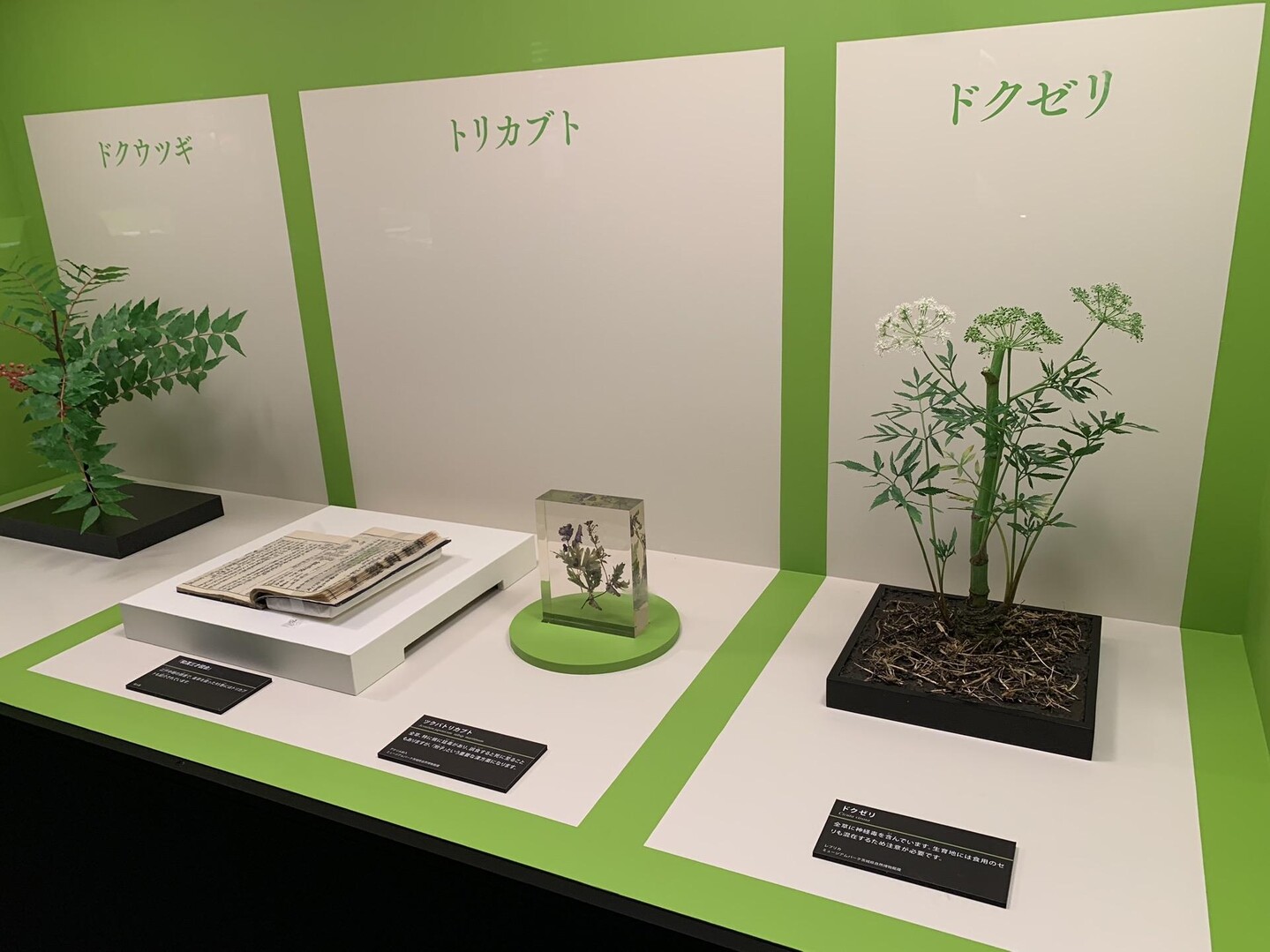 特別展 毒 おもしろ楽しい！ 山登る人に... / hamさんのモーメント | YAMAP / ヤマップ