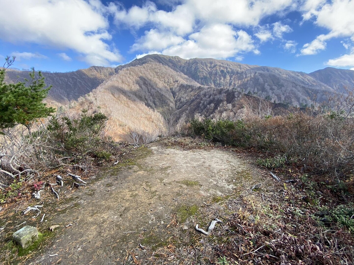 未丈ヶ岳 / rysykoさんの未丈ヶ岳の活動データ | YAMAP / ヤマップ