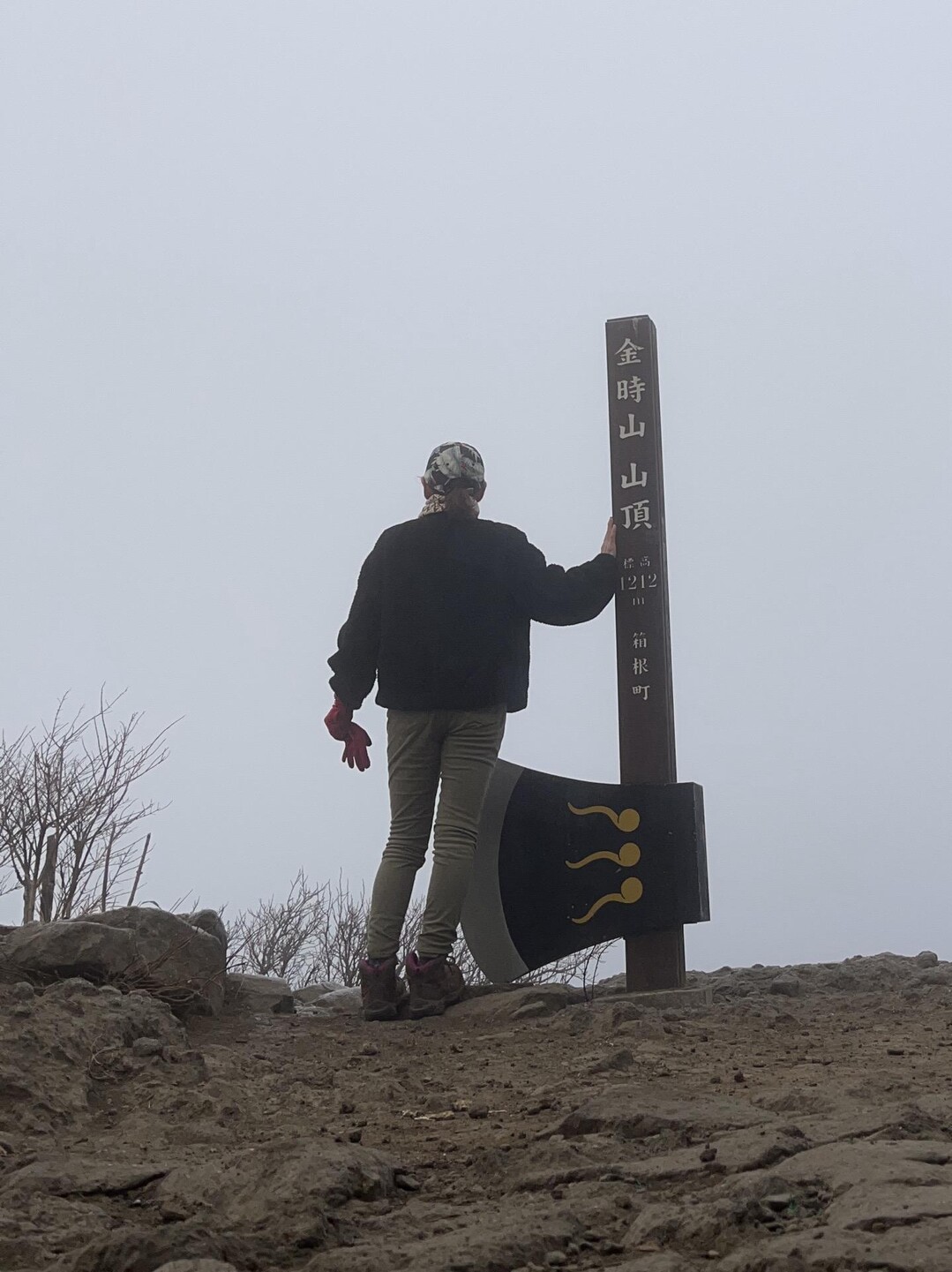 2025年初登りは箱根・金時山へ / karin.fさんの金時山・明神ヶ岳の活動データ | YAMAP / ヤマップ