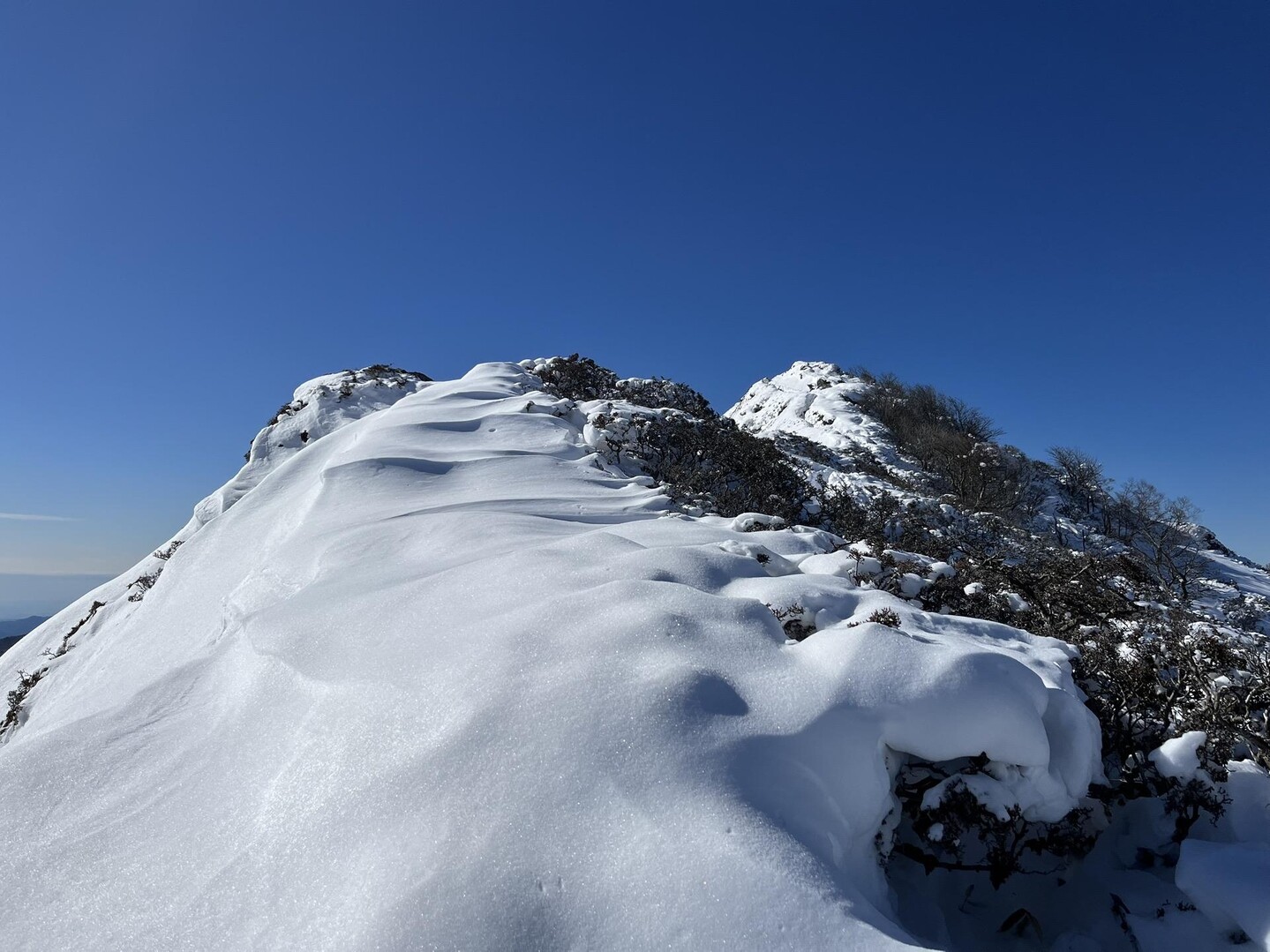 青の白い三嶺☃️ / MK2さんの三嶺・天狗塚・石立山の活動データ | YAMAP / ヤマップ