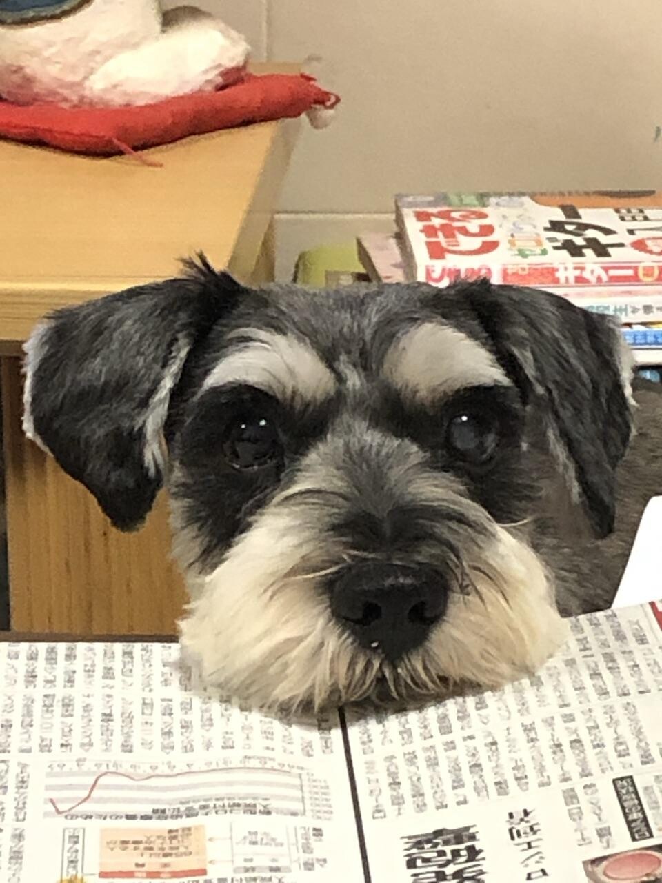 koronのページ | YAMAP / ヤマップ