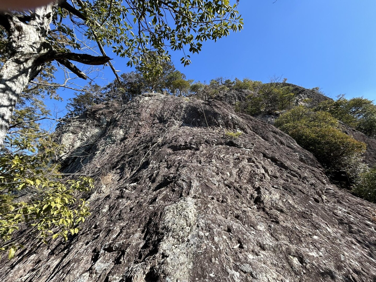 明神山への道2nd 尾切れ⤴️T字尾根⤵️ / taekoさんの明神山・太郎岳の活動日記 | YAMAP / ヤマップ