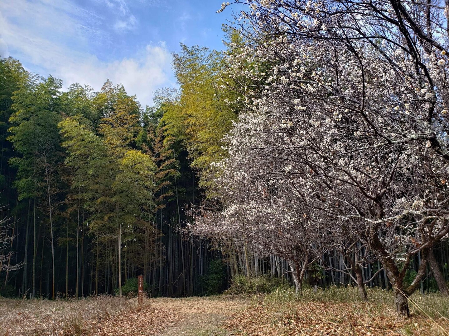 山の辺の道-2023-02-23 / chonpsさんの奈良市（東エリア）の活動データ | YAMAP / ヤマップ