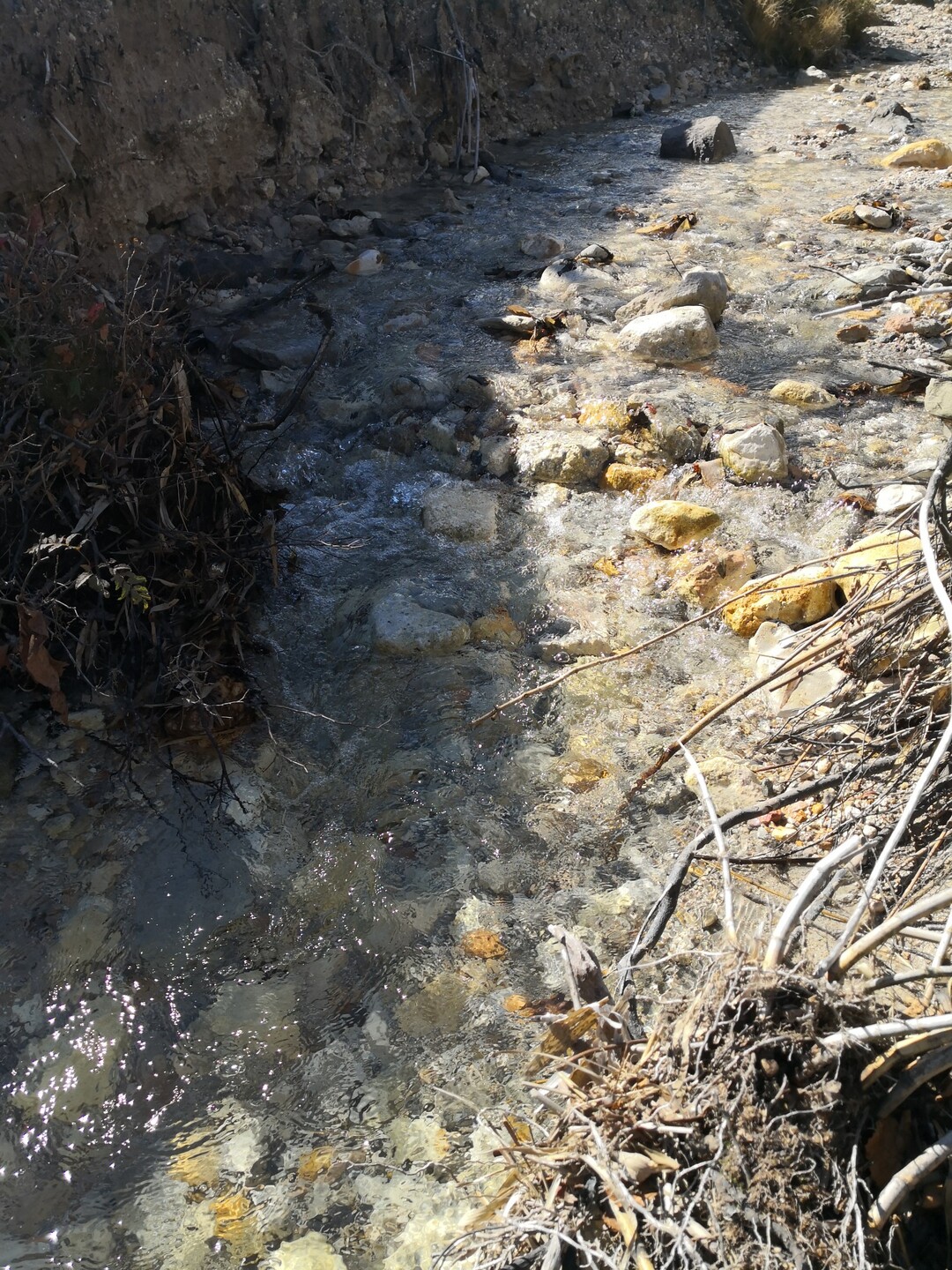 sayuさんの投稿したフィールドメモ | YAMAP / ヤマップ