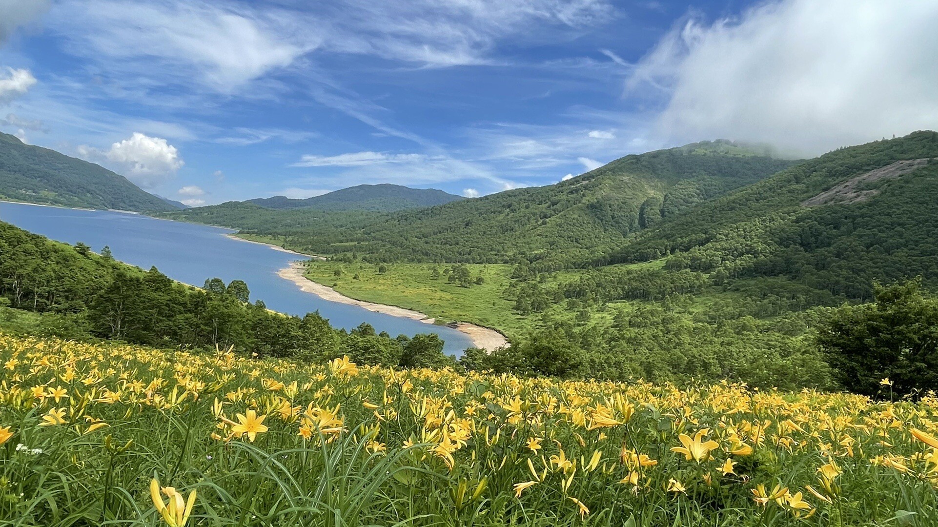 2022.07.09 ノゾリキスゲが満開... / chieさんのモーメント | YAMAP / ヤマップ