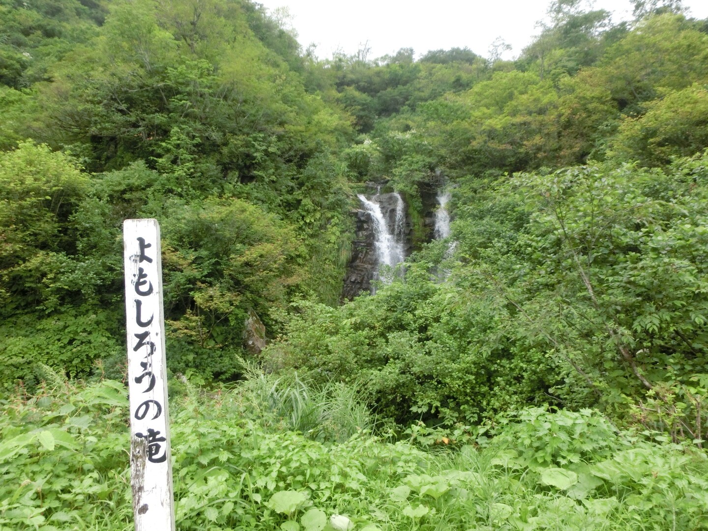 [新潟猫さんぽ2014]よもしろうの滝と... / 猫息子さんのモーメント | YAMAP / ヤマップ