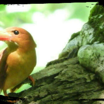 hello beakのページ | YAMAP / ヤマップ