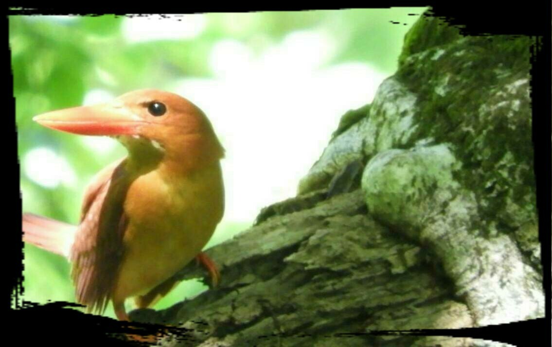 hello beakのページ | YAMAP / ヤマップ